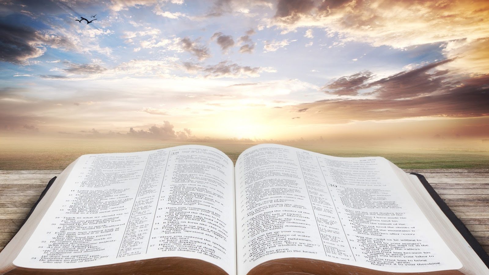 [vineri, 29 mai] Un gând de încheiere - Studii Biblice