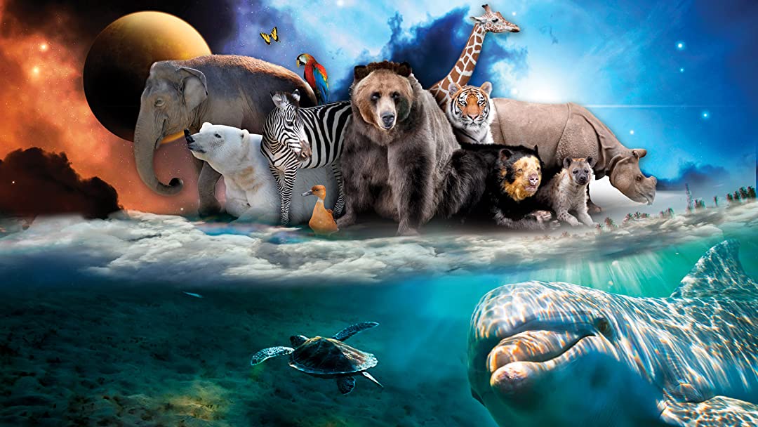 [vineri, 22 mai] Un gând de încheiere - Studii Biblice